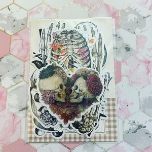 Office | Vintage Orthopedic Stickers Full Skeletons 14 Deco Stickers ...